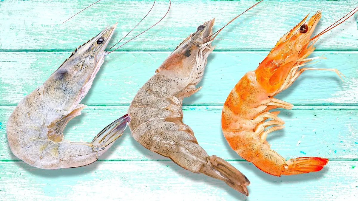 Pink Shrimp vs White Shrimp - Which Is Better for Cooking